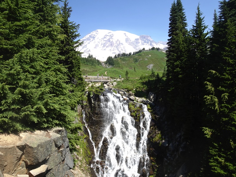 Kaleberg Symbionts Home Page